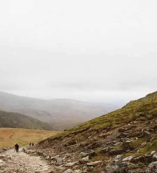 mTOR 활성화가 노화에 미치는 영향 - 블리스오라